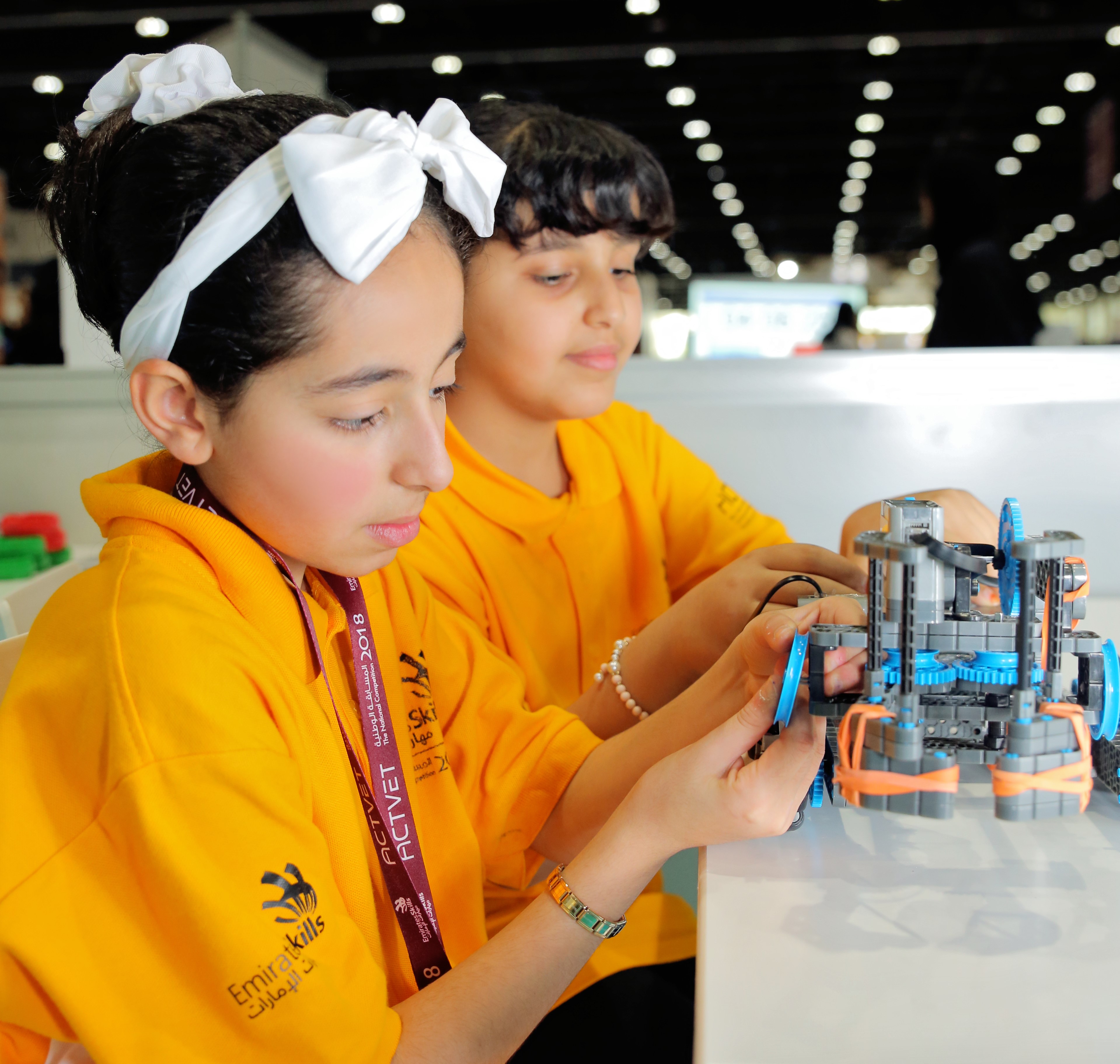 Emirates Skills | Skill Details